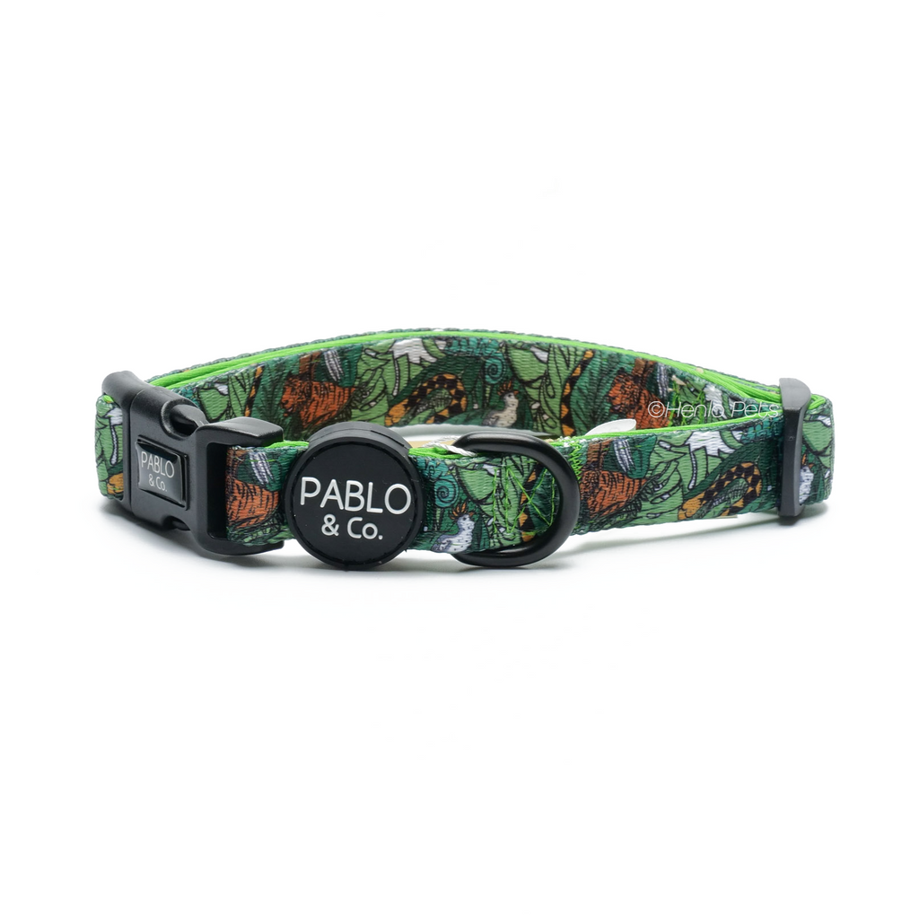 Pablo & Co In the Jungle Dog Collar
